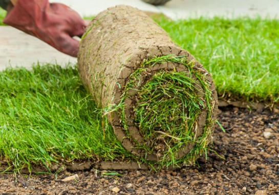 New Sod For Your Lawn | Cumming, GA